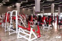 China Strength Training Plate Loaded Machines for Chest Press and Iso-Lateral Bench Press for sale