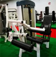 China Functional Trainer Machine for Bodybuilding Steel Q235 Fitness Gym Equipment Leg Curl for sale