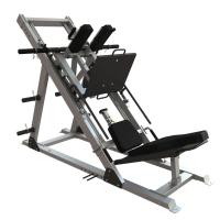 China Commercial Gym Equipment Steel Leg Press Hack Squat 2 in 1 Dual Function Plate Loaded for sale