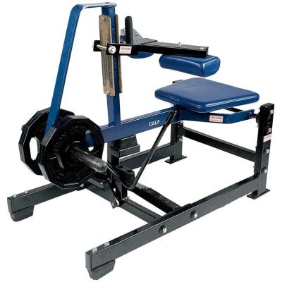 China Universal Plate Loaded Seated Calf Press Machine for Gym Equipment 1270*770*1400 mm for sale