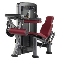China Home Gym Equipment Seated Design Leg Curl Machine for Strength Training Bodybuilding for sale