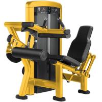 China Home Gym Equipment Seated Design Leg Curl Machine for Strength Training Bodybuilding for sale