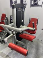 China Home Gym Equipment Seated Design Leg Curl Machine for Strength Training Bodybuilding for sale