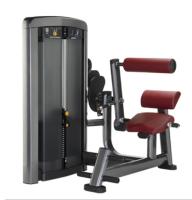 China Commercial Gym Equipment Pin Loaded Abdominal Trainer with Adjustable Back Extension for sale