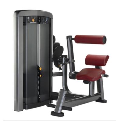 China Commercial Gym Equipment Pin Loaded Abdominal Trainer with Adjustable Back Extension for sale