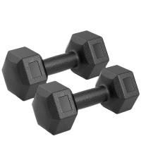 China Commercial 20KG Hex Rubber Dumbbell The Ultimate Choice for Fitness Enthusiasts for sale