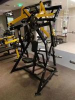 China Maximize Your Workout with Universal Lateral D.Y. Row Deltoids Back Strength Training for sale