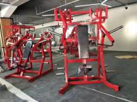 China Maximize Your Workout with Universal Lateral D.Y. Row Deltoids Back Strength Training for sale