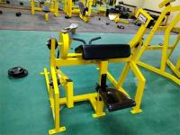 China Upgrade Your Workout Routine with 1200*1300*1200mm Plate Loaded Seated Biceps Machine for sale