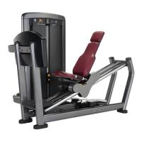 China Metal Construction Medium Loader Steel Seated Leg Press Gym Machine for Strength Training for sale