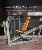 China Metal Construction Medium Loader Steel Seated Leg Press Gym Machine for Strength Training for sale