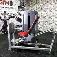 China Metal Construction Medium Loader Steel Seated Leg Press Gym Machine for Strength Training for sale