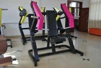 China Fitness Strength Bodybuilding Back Arm Training Plate Loaded Steel Chest Press for Gym for sale