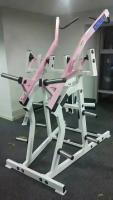 China Body Building Function Plate Loaded Biceps Triceps Machine with Iso Lateral Design for sale