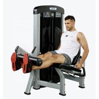 China Steel Pin-Loaded Quadriceps Leg Extension Seated Adjustable Fitness Equipment Medium Loader for sale