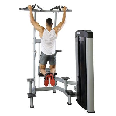 China Body Building Workout Commercial Fitness Gym Equipment with Assisted Chin Dip Machine for sale