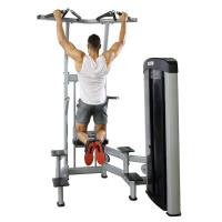 China Body Building Workout Commercial Fitness Gym Equipment with Assisted Chin Dip Machine for sale
