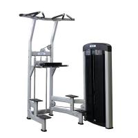 China Body Building Workout Commercial Fitness Gym Equipment with Assisted Chin Dip Machine for sale