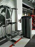 China Body Building Workout Commercial Fitness Gym Equipment with Assisted Chin Dip Machine for sale