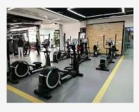 China Optional Selectable Frame Color Manual Cross Trainer Elliptical Bike for Indoor Fitness for sale