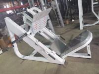 China Steel Leg Strength Trainer with Squat Plate Leg Press Machine Commercial Gym Equipment for sale