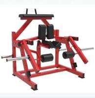 China Fitness Exercise Body Iso Lateral Kneeling Legs Curl for Quadriceps and Leg Extension for sale