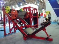 China Plate Loaded 45 Degree Linear Leg Press for Muscle Strength Training in Gym Equipment for sale