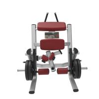 China Leg Press Trainer for Glutes and Quadriceps in Commercial Fitness Gym Equipment for sale
