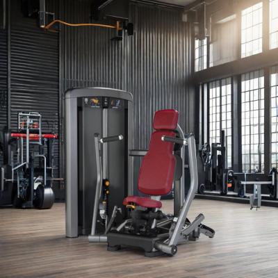 China Commercial Gym Equipment Seated Incline Chest Press with Customized Logo Availabled for sale