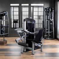 China Seated Leg Curl and Extension Machine Heavy-Duty Steel for Professional Workouts for sale