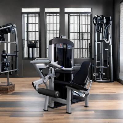 China Seated Leg Curl and Extension Machine Heavy-Duty Steel for Professional Workouts for sale