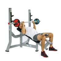 China Befreeman Gym center Incline Bench Pin Load Selection Machines with 1450*1260*1420 mm for sale