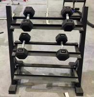China Dumbbell Rack Set for Commercial Fitness Equipment in Living Room Strength Training for sale