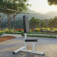China Indoor Fitness Equipment for Weight Training Befreeman Super Metal Gym Unity Bench for sale