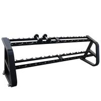 China 19.5 kg Load Capacity Gym Fitness Equipment Dumbbell Storage Rack Foldable Design for sale