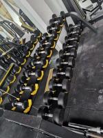 China 19.5 kg Load Capacity Gym Fitness Equipment Dumbbell Storage Rack Foldable Design for sale