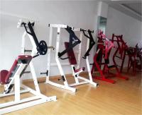 China Strength Training Made Easy with Iso Lateral Decline Seated Chest Press Plate Loaded for sale