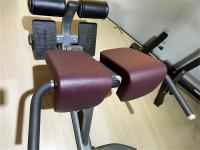 China Style Luxury Fitness Equipment for Back Exercises Adjustable Back Extension Roman Chair for sale