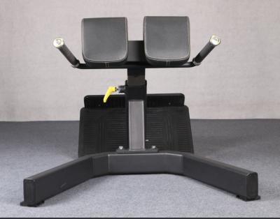 China Gym Fitness 45 Degree Back Extension Machine Roman Chair Gym Bench Unisex Gender Unisex for sale