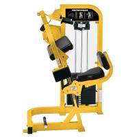 China Upgrade Your Gym with Our Pin Loaded Tricep Extension Arms Shoulders Workout Machine for sale