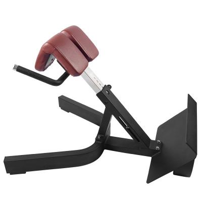 China Strength Training Multi-Functional Arm Curl Back Extension Bench Roman Chair for Unisex for sale