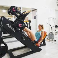 China Indoor Gym Equipment 45 Degree Leg Press Plate Loaded Machine for Strength Training for sale