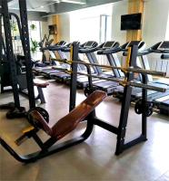 China Functional Trainer Bench for Chest Press Incline Bench Strength Training Instrument for sale