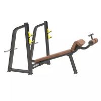 China Medium Loader Strength Training Chest Press Weight Benches Racks Decline Bench Press for sale