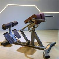 China Gym Strength Training Equipment Adjustable Back Extension Roman Chair for Commercial for sale