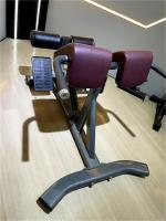 China Gym Strength Training Equipment Adjustable Back Extension Roman Chair for Commercial for sale