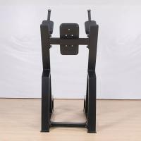China Indoor Bodybuilding Vertical Knees Up/Dip Strength Trainer for Space-Saving Solution for sale