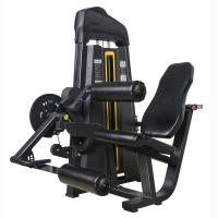 China Medium Loader Dual Function Adjustable Seated Leg Curl Extension Machine for Fitness for sale