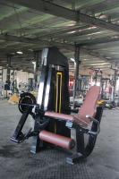 China Medium Loader Dual Function Adjustable Seated Leg Curl Extension Machine for Fitness for sale