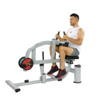 China Medium Loader Land Fitness Equipment Seated Calf Raise Machine for Body Building for sale